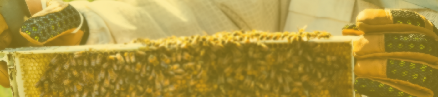 Article Tagged "ventilated beekeeping jacket" - Apis Tactical