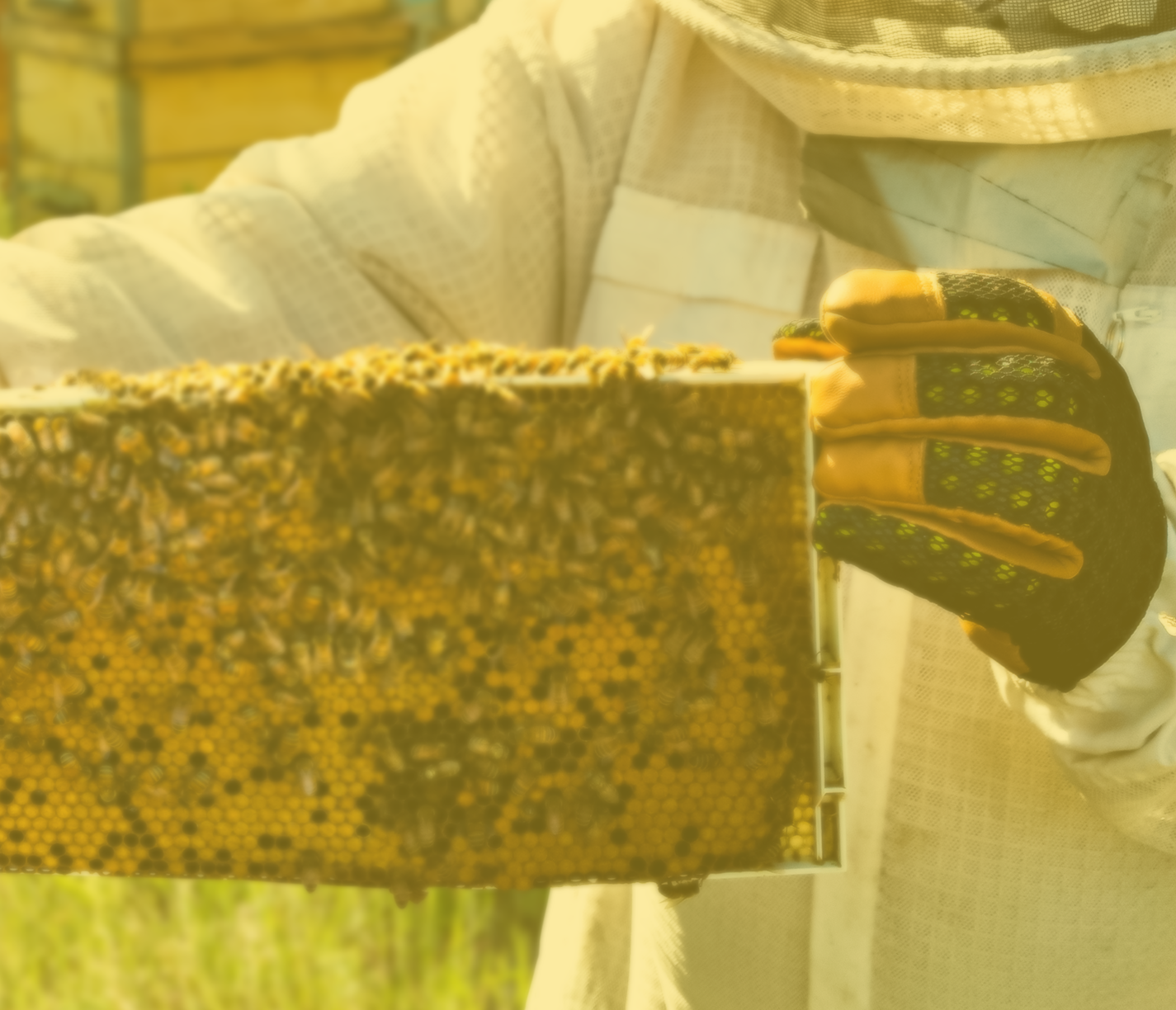 All Products - Apis Tactical